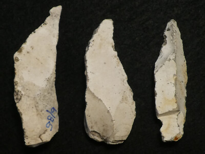 Neolithic & Paleolithic - Borer Stone Age