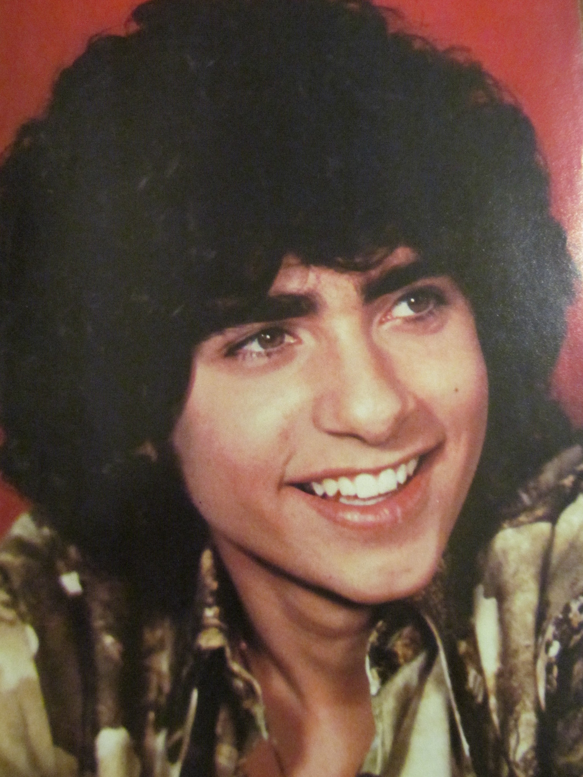 Tony DeFranco, The DeFranco Family, Full Page Vintage Pinup | eBay