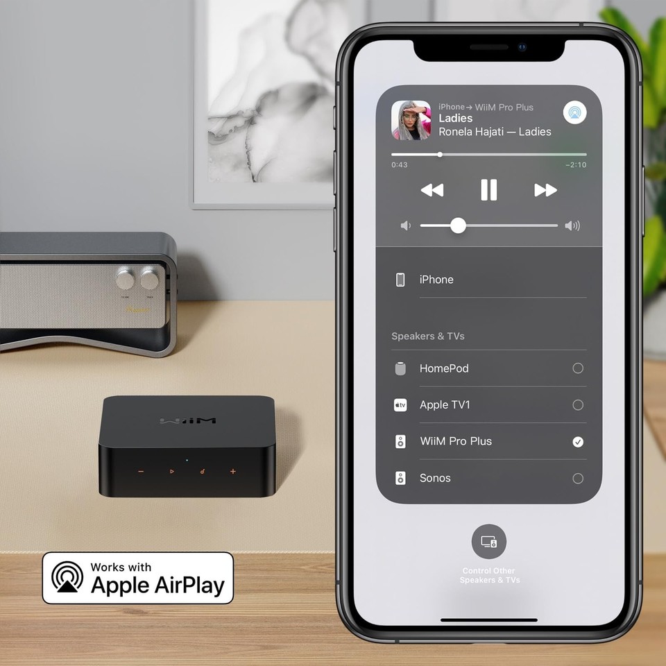 WiiM Pro Plus AirPlay 2 Receiver Google Cast Audio Multiroom Streamer ...