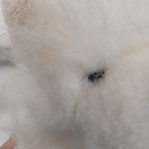 Ganz Webkinz Lil Kniz Retired Samoyed No Code | eBay