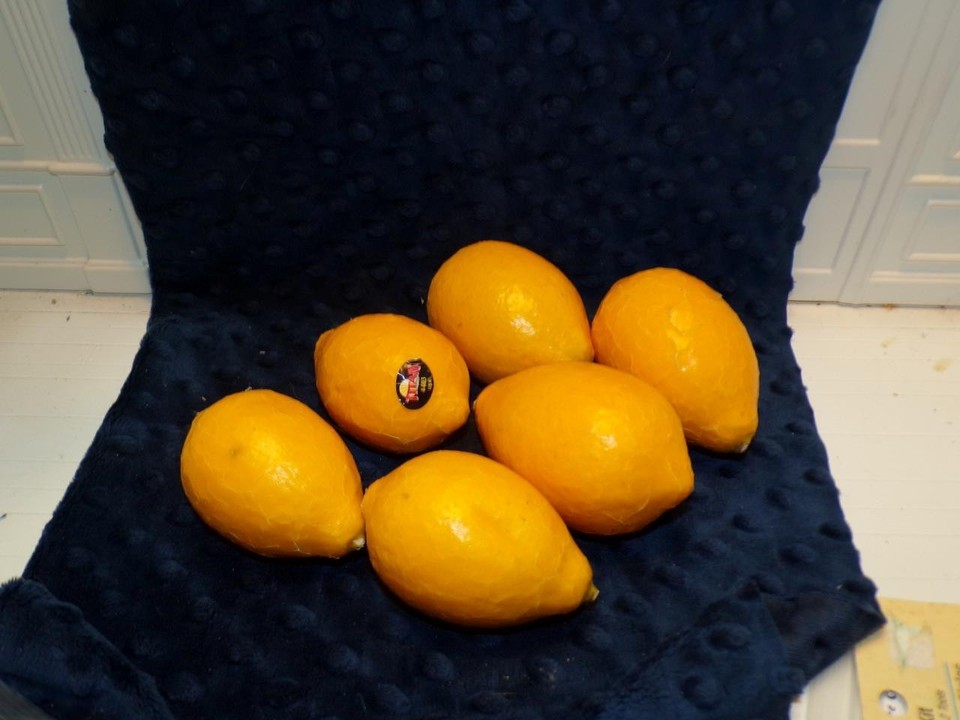 Artificial Yellow Lemons Lot Of 6 Faux/ Realistic/ Fake Fruit Home ...