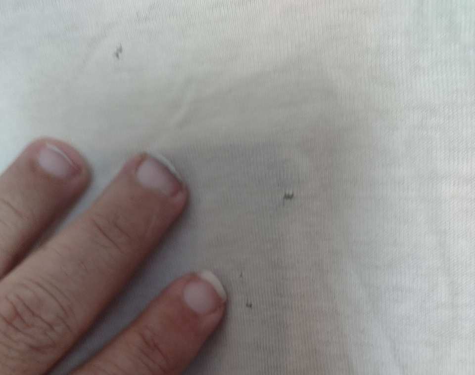 Facedown Records Graphic Shark Skull Crossbones Men's M Medium T-Shirt ...