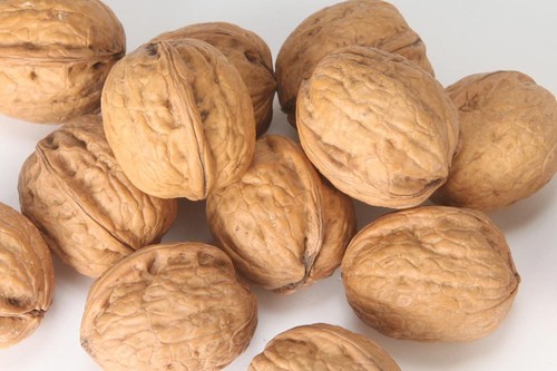 Freshly Harvested California Raw In shell Walnuts -BLEACHED | eBay