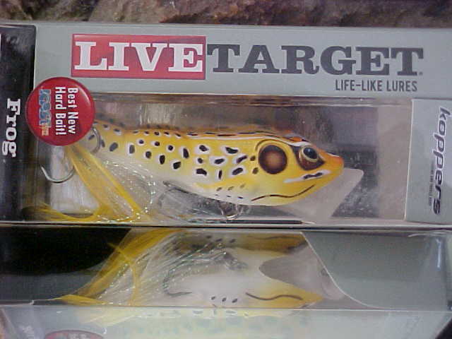 LIVETARGET Lures Koppers Live Target Frog Popper 3" for sale online | eBay