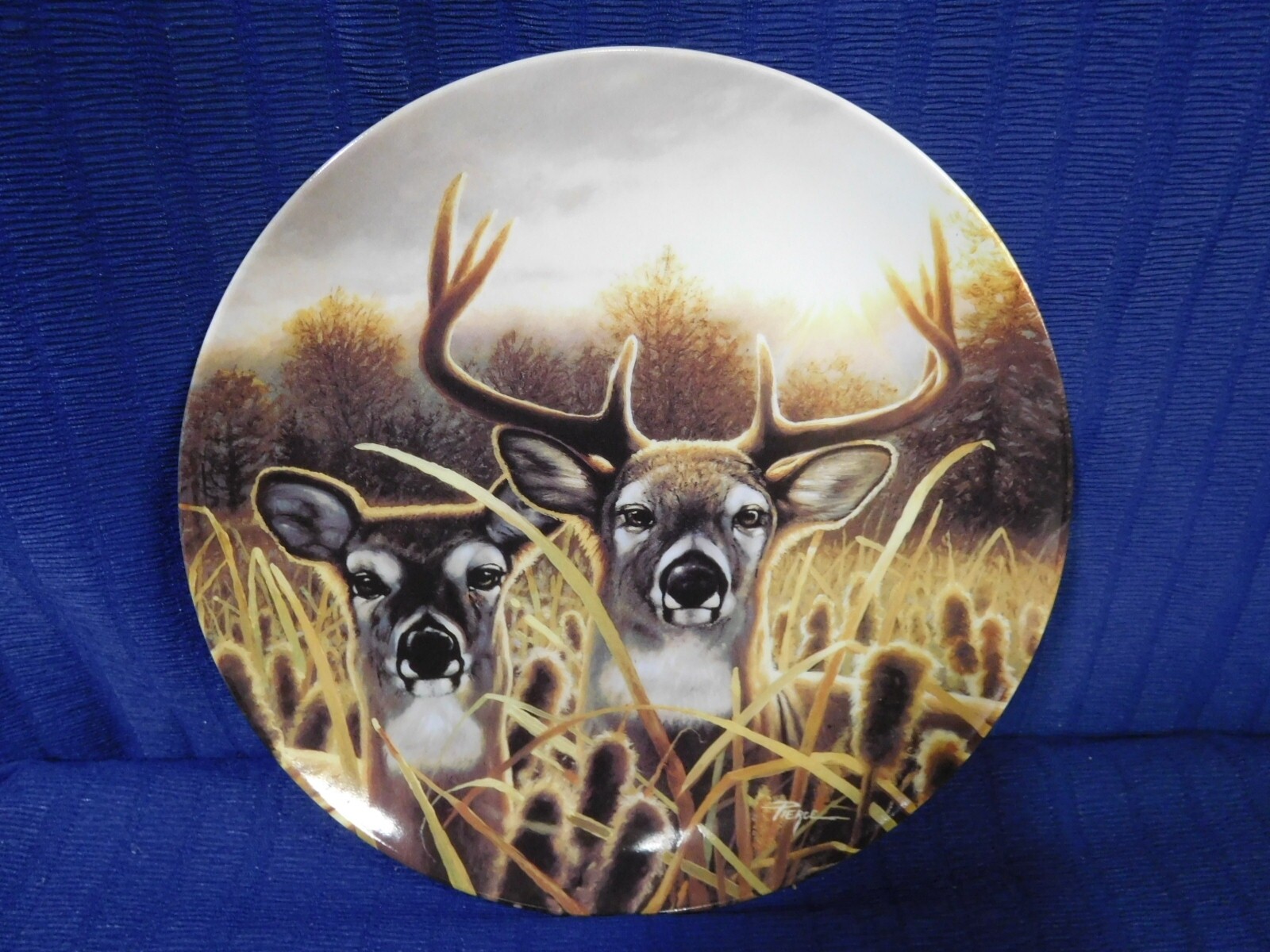 Plate Eyes of the Wild Eyes of Wonder by Daniel Renn Pierce p0088 | eBay