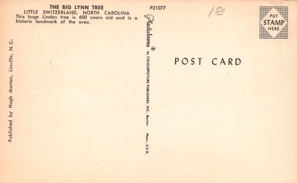 Little Switzerland North Carolina The Big Lynn Tree Linden Tree ...