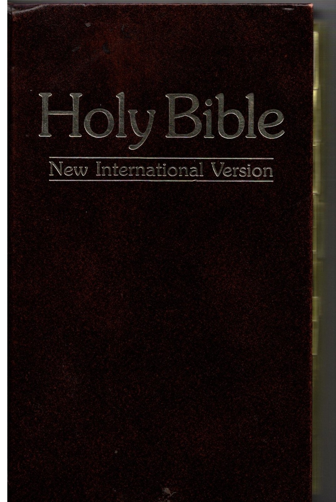 The Holy Bible NIV New International Version International Bible ...