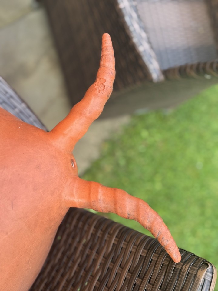 Vintage retro collectable 1970s Space Hopper in good condition (holds ...