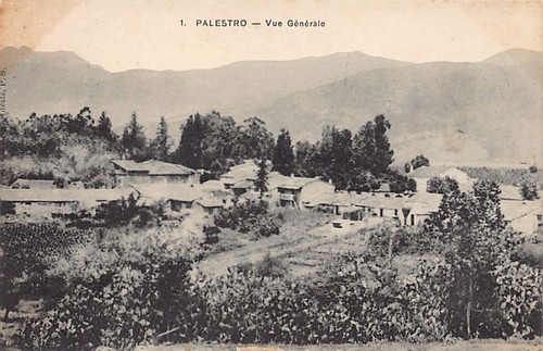 Algérie - PALESTRO Lakhdaria - Vue générale - Ed. Collection Idéale P.S ...