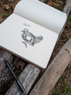 Authentic: Bard Rock Chicken Drawing Ink Sketch | eBay