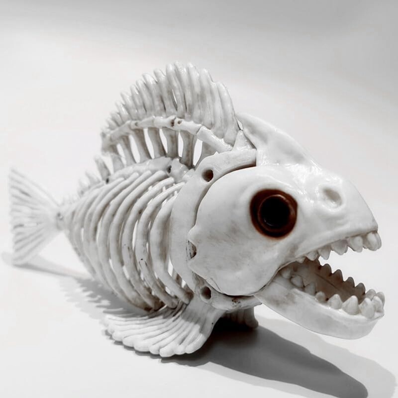 Skeleton Fish Halloween Decor Model, Plastic Animal Carp Skull Fishes ...
