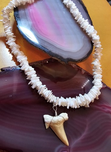 White Hawaiian 18" Chipped Puka Sea Shell Necklace Surfer Shark Tooth ...