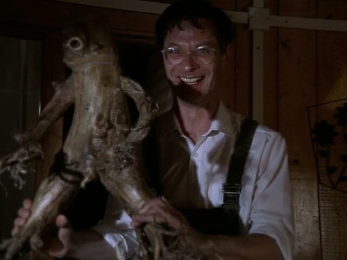 Little Otik, Otesanek( 2000) English Subtitle / All Region ( Registered ...