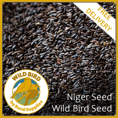 25KG Nyger Seed Premium Wild Bird Feeding Nyjer Nijer Niger | eBay