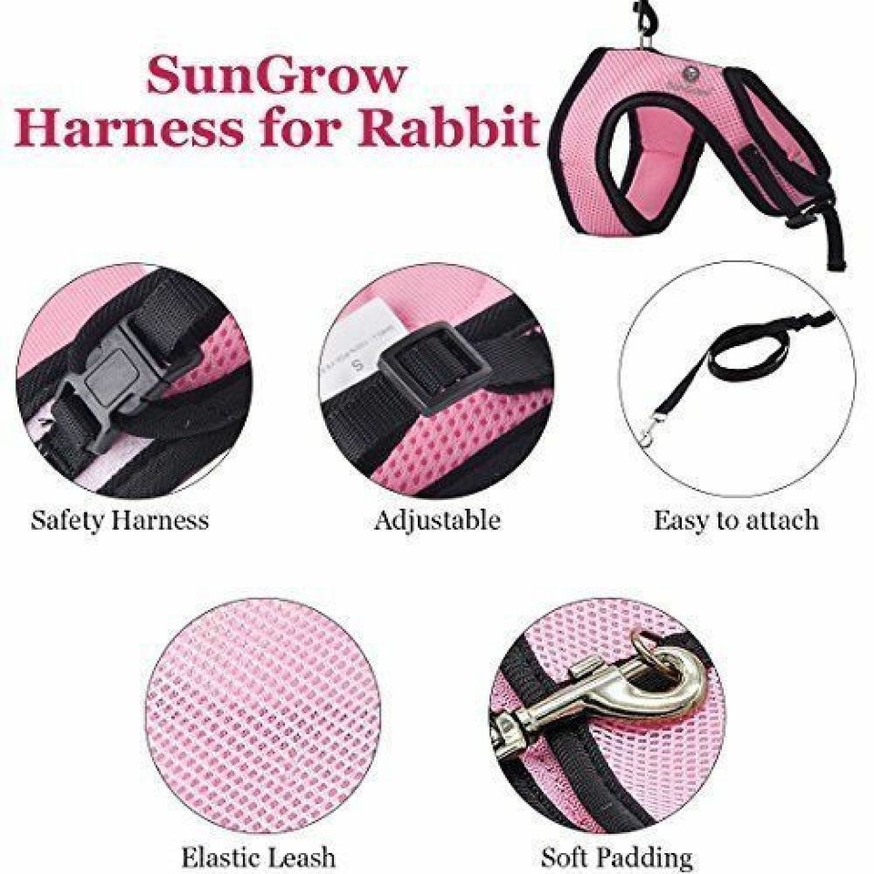 Harness with Lead for Rabbits Bunny Little Pets Rabbit Harness for Pets ...