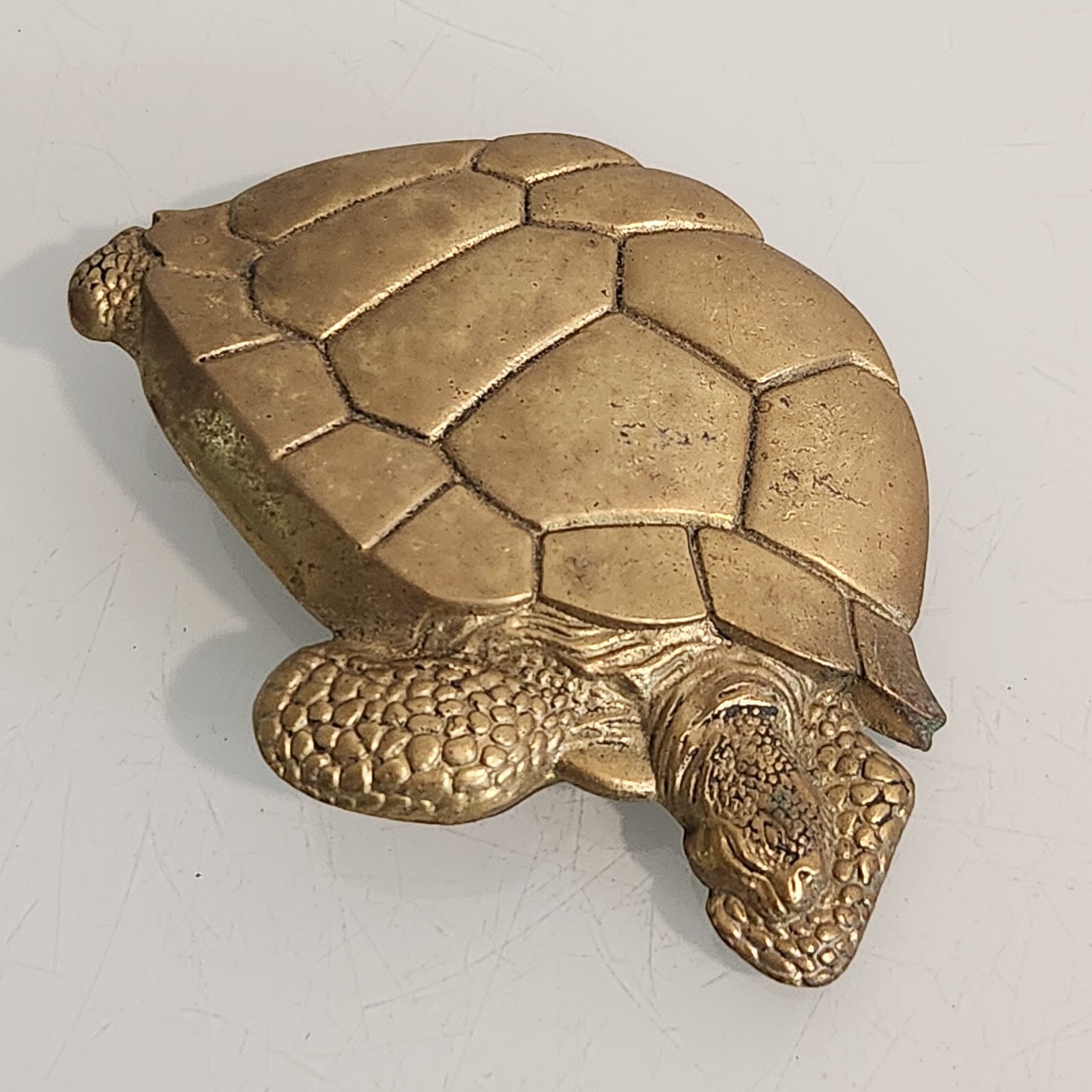 Turtle Belt Buckle Iconic 70s Brass Nautical Hippie B… - Gem