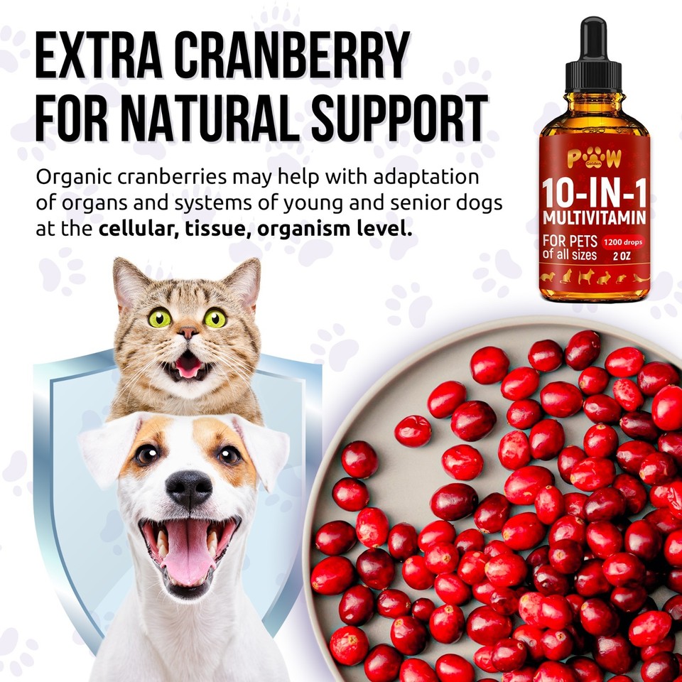 Liquid Multivitamin for Dogs | Multivitamin for Cats | Vitamins for ...