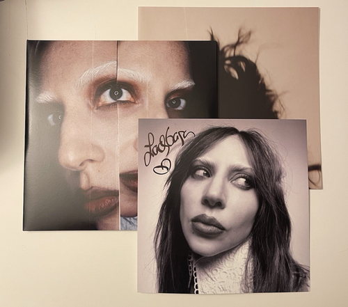 Lady Gaga MAYHEM Store Exclusive Vinyl LP Alternate SIGNED Autographed ...