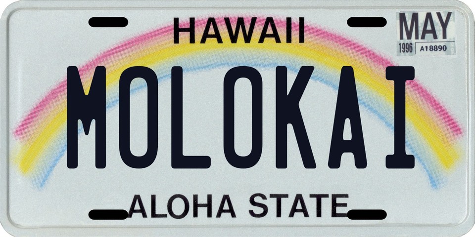 Hawaii License Plate - Choose from all 8 Hawaiin Islands & different ...