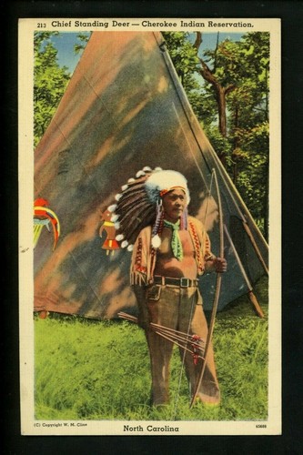 Native Americana postcard Chief Standing Deer, Cherokee Indian ...