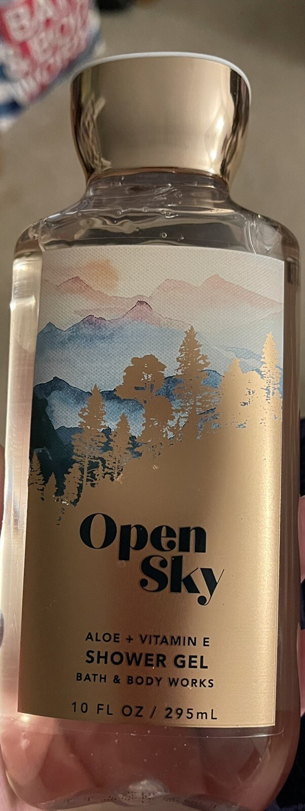 OPEN SKY Shower Gel Bath & Body Works 10 fl oz Discontinued Scent *New ...