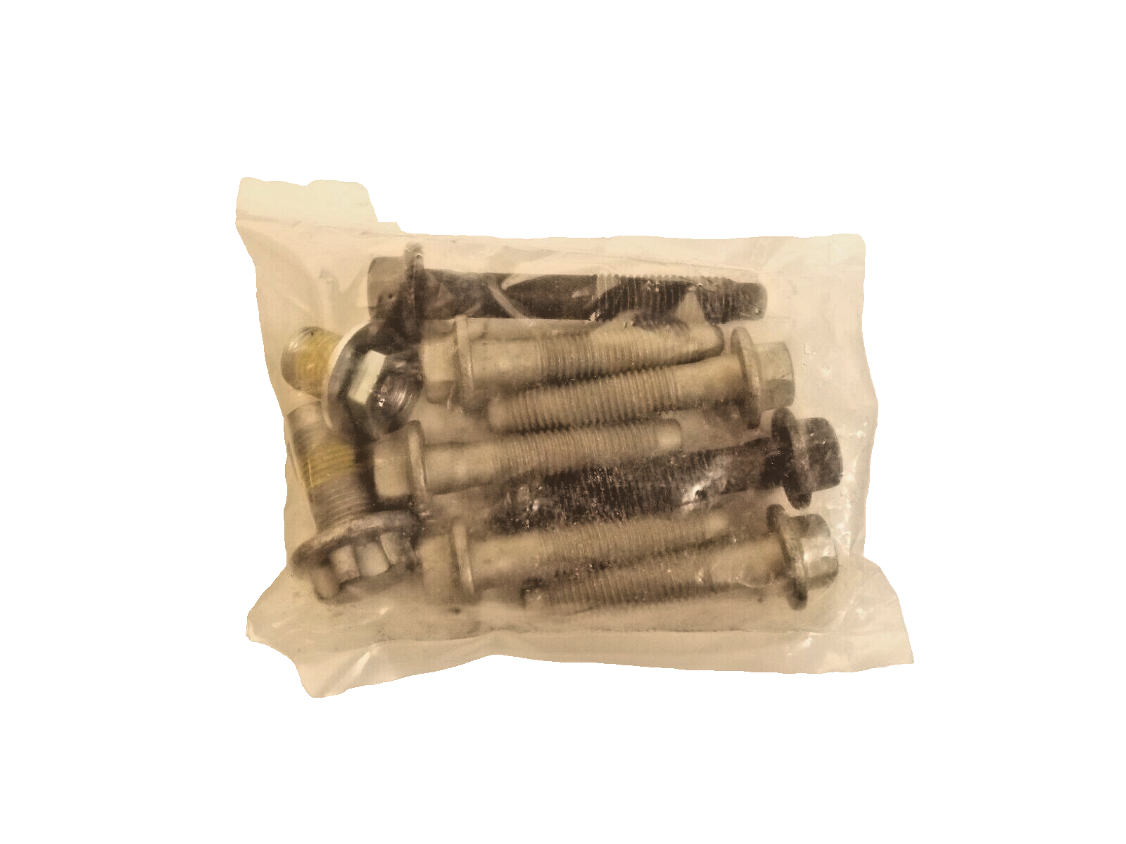 FORD TRANSIT CUSTOM TIMING BELT WET BELT KIT 2.0 ECOBLUE KIT COMPLETE ...