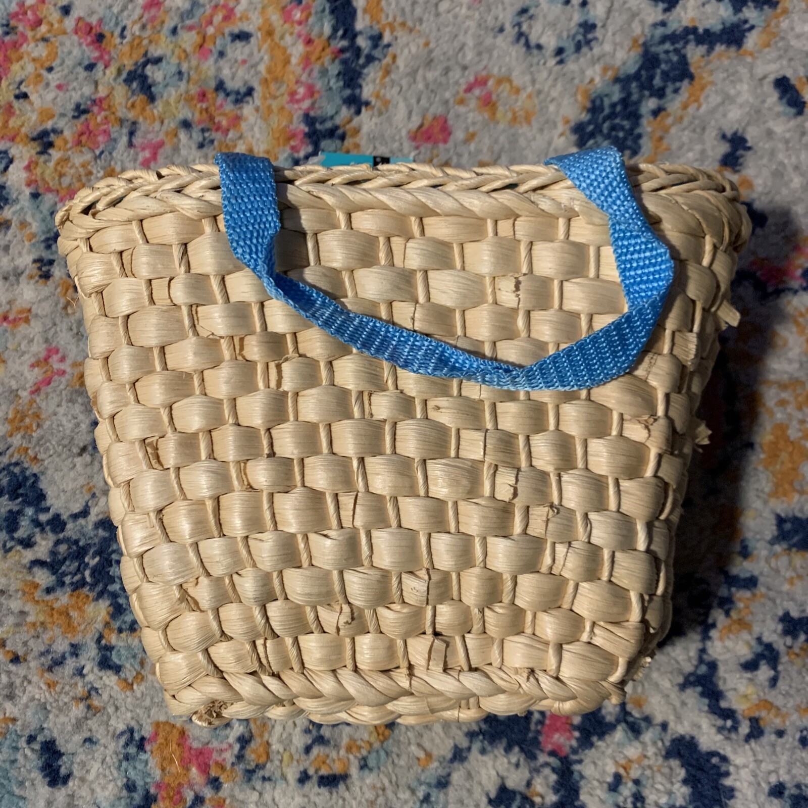 Sassy & Chic Straw Purse - Small - Gem