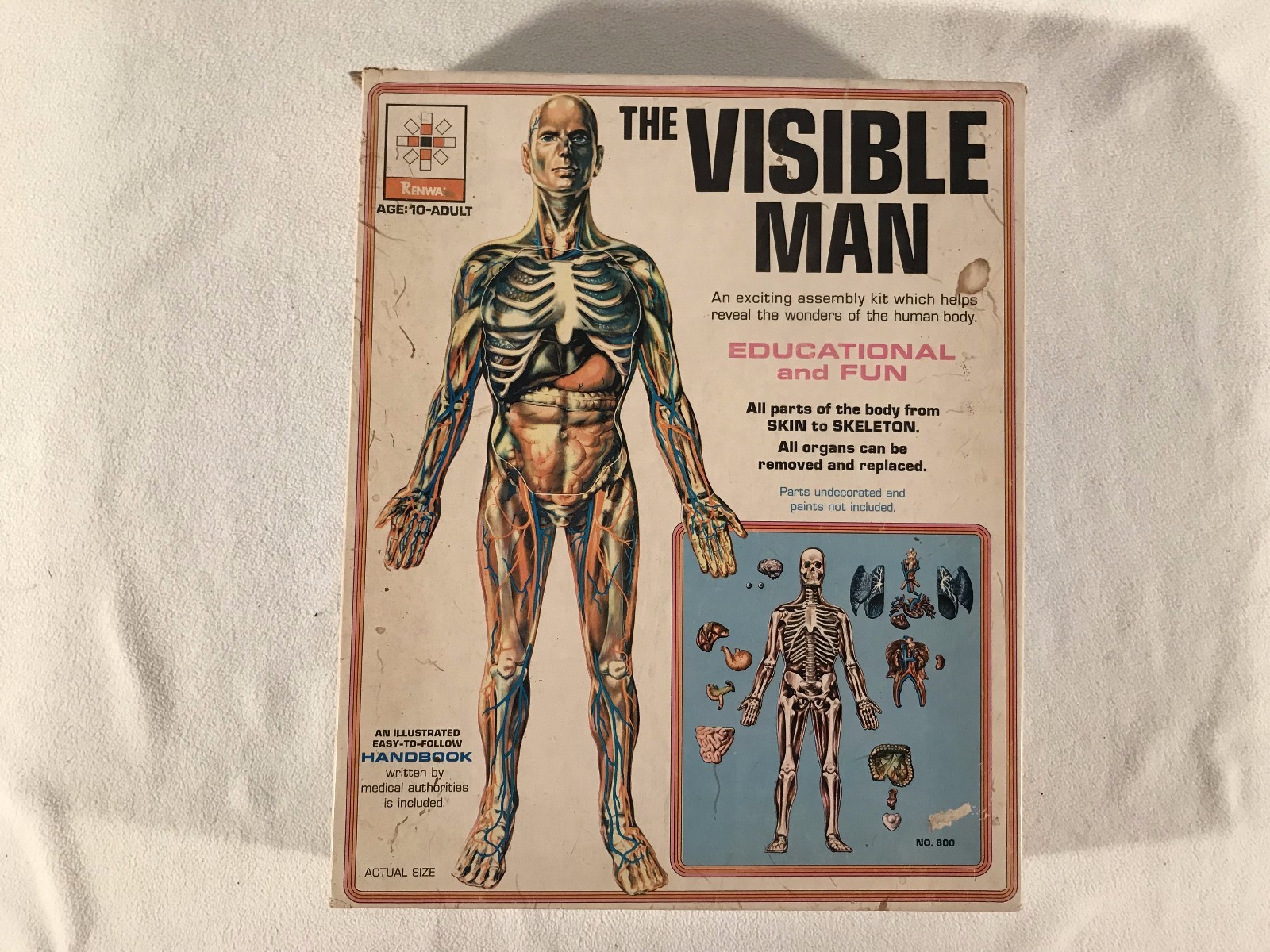 Vintage Renwal The Visible Man Educational Fun 1959 Toy | eBay
