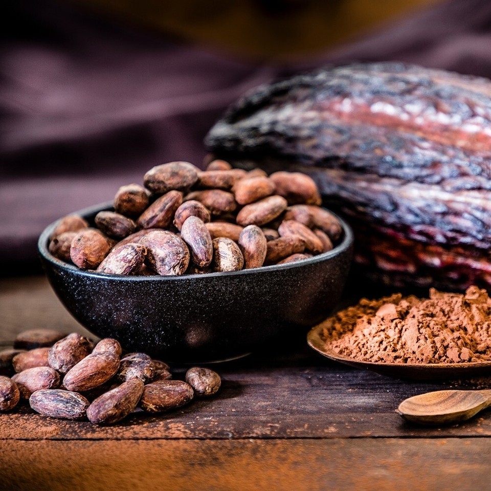 50+ Cocoa Seeds Cacao Seeds Theobroma Cacao For Plant Chocolate Tree | eBay