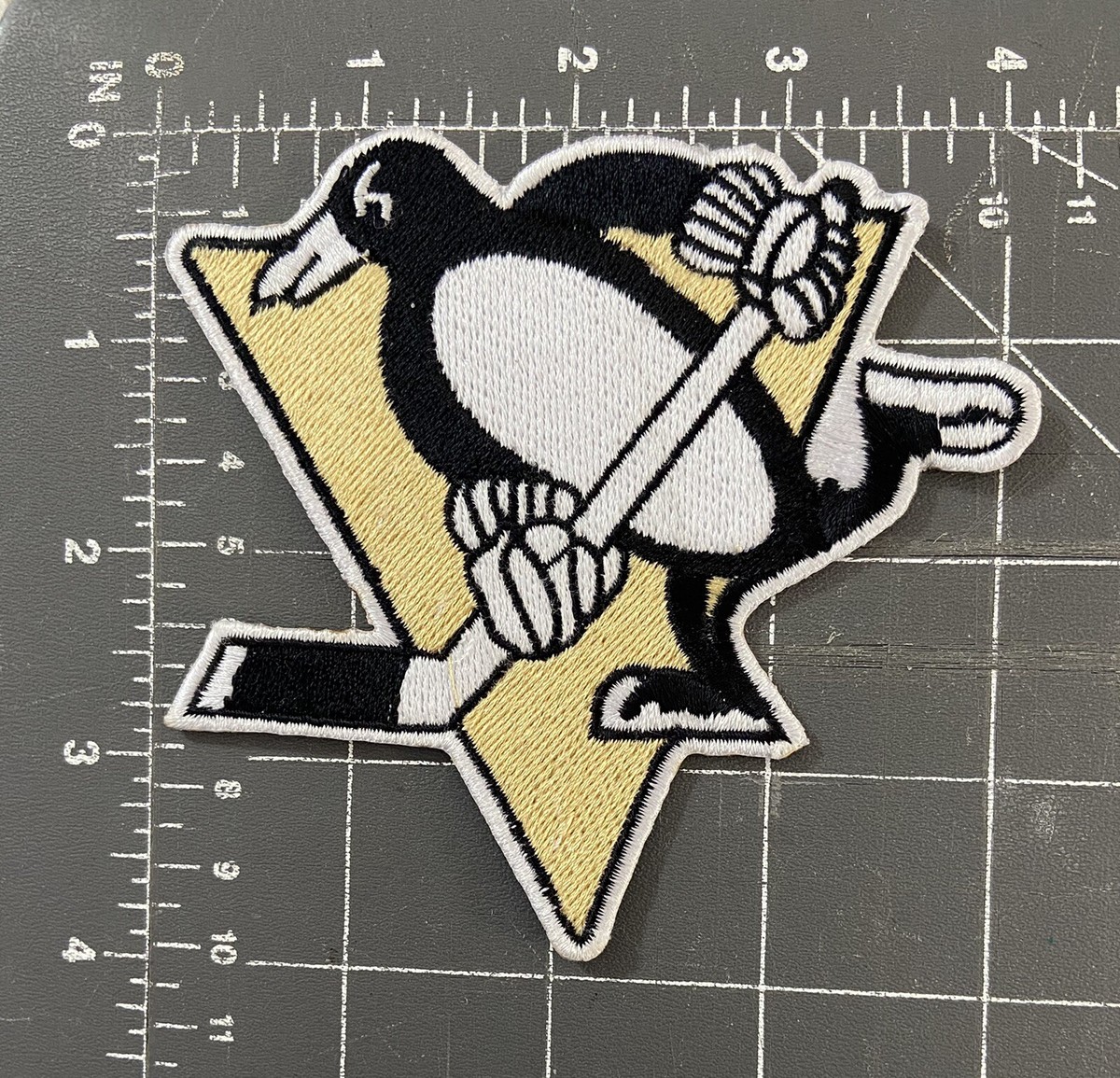 Pittsburgh Penguins Primary Logo National Hockey League Pittsburgh