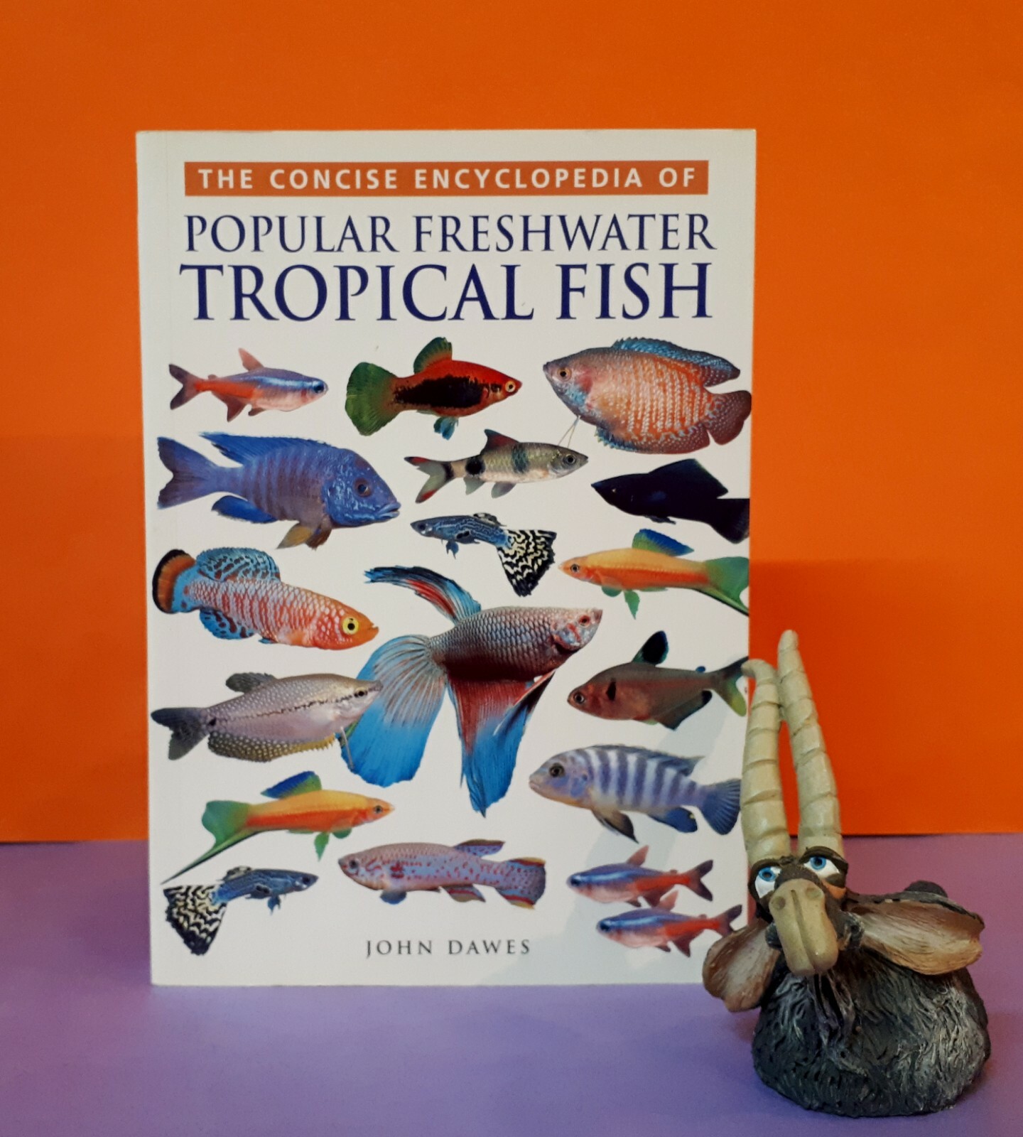 Freshwater Tropical Fish Names