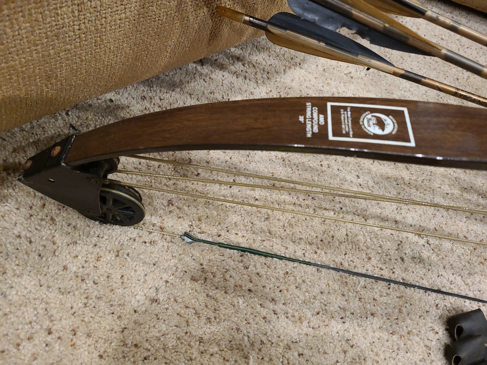 Bear Whitetail Hunter Bow Amo Compound 39" Arrows 18s1 | eBay