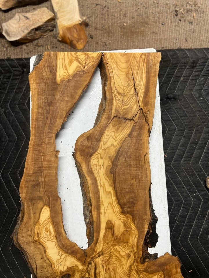 #223 OLIVE wood burl slab 200 yr old Rawcut 16x24 FREE SHIP | eBay