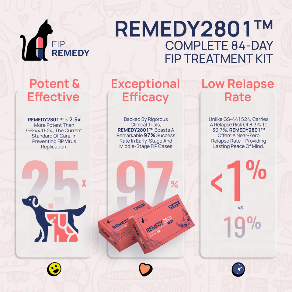 Feline Infectious Peritonitis (FIP) Full 84-Day Treatment Kit - Cats ...