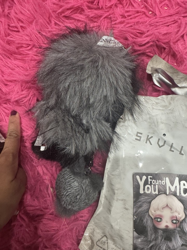 POPMART Skullpanda You Found Me secret Buddy Doggie RARE 100% Authentic ...