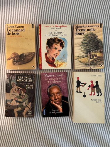 Lot of French-language literature books | eBay