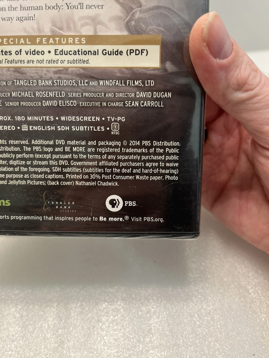 Michael Your Inner Fish