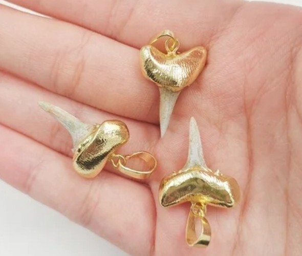 PACK OF TEN: 100% REAL MOROCCON SHARK TEETH TOOTH PENDANTS 18K GOLD ...