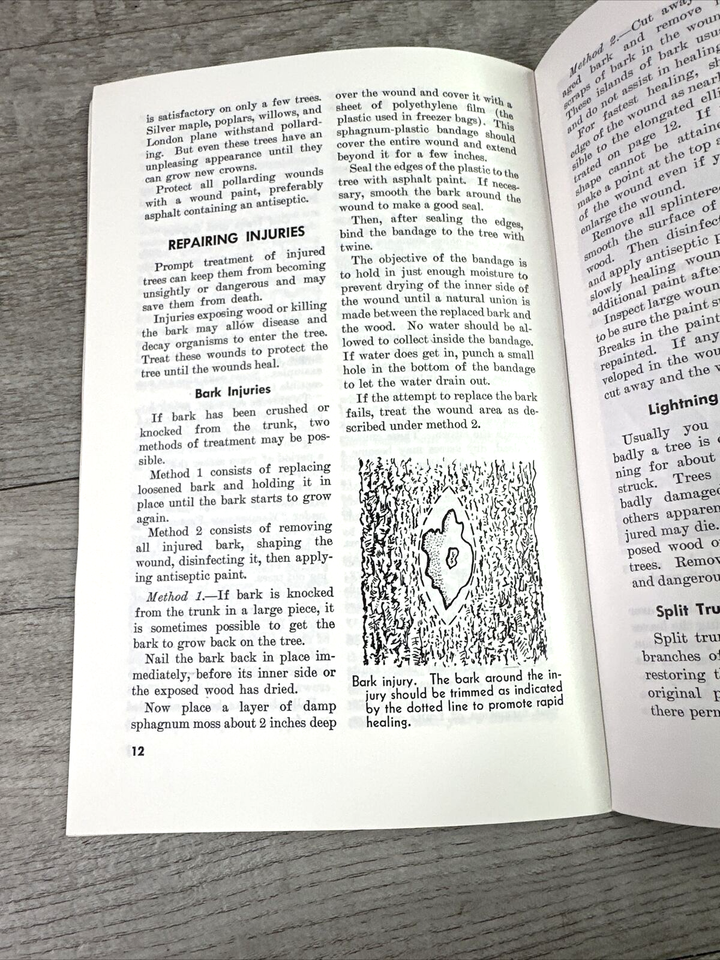 Vintage Lot of 3 How To Pamphlet/ Booklets 1960-1981 | eBay