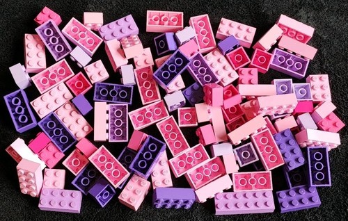 LEGO 175g Pink Purple Bricks Blocks Pieces Bundle 2x4 2x3 2x2 3001 3003 ...