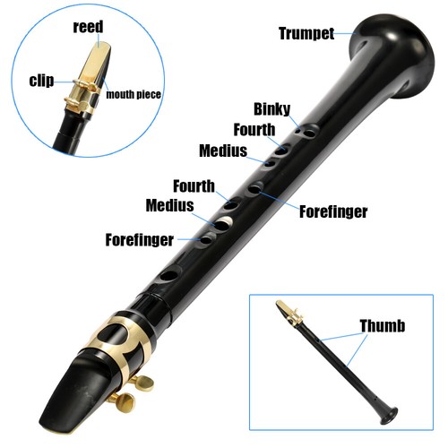 Mini Black Pocket Saxophone Lightweight Woodwind Instrument QH1 ...