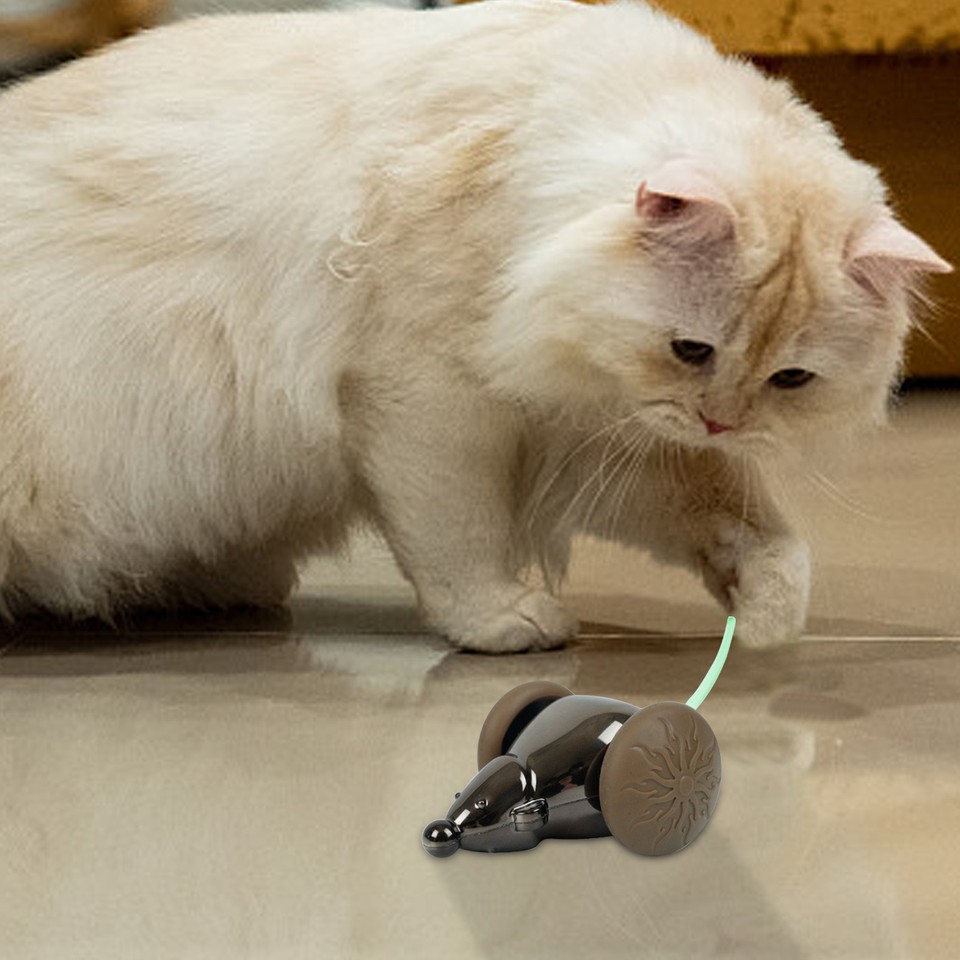 Simulation Mouse Robotic Cat Toy Remote Controlled Moving Pet Kitten ...