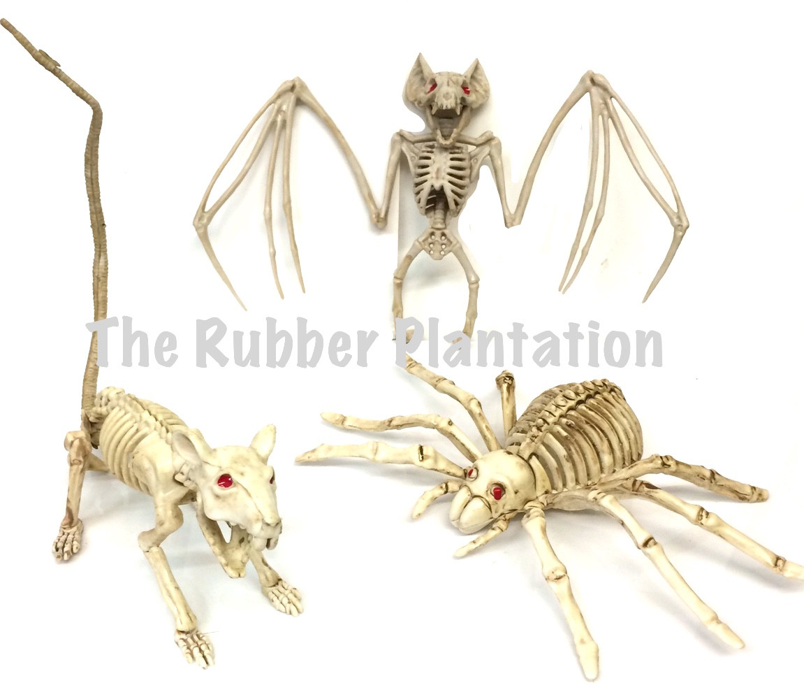 Rat Spider Halloween
