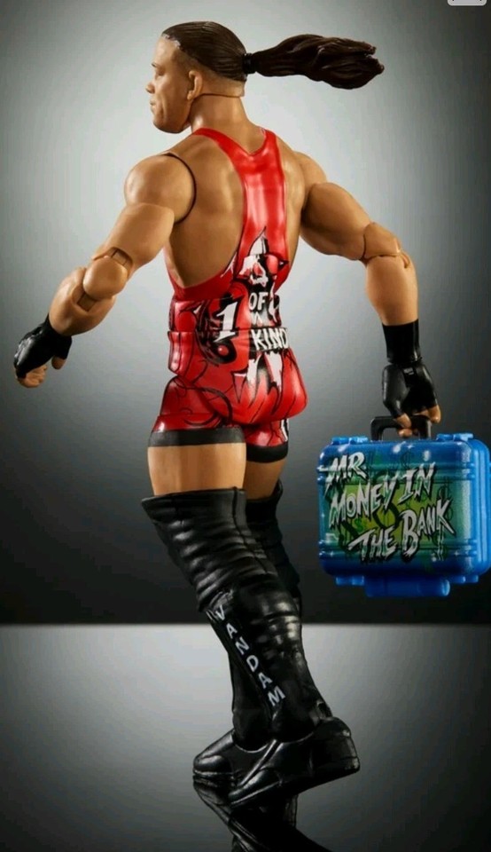 🆕🇺🇸WWE MATTEL ELITE LEGENDS 29 ROB VAN DAM RVD WRESTLING ACTION FIGURE ...