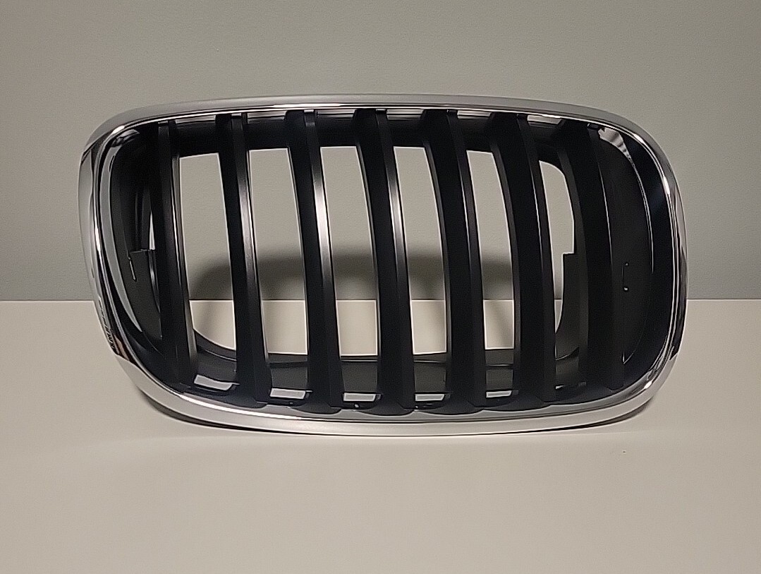Genuine OEM BMW X5 RH Right Passenger Side Grille 51137171396 2007-2012 ...
