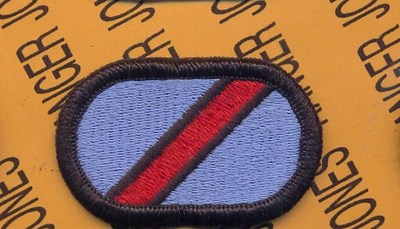 D Co 107th MI Bn LRSD Long Range Surveillance Det Airborne Ranger oval ...