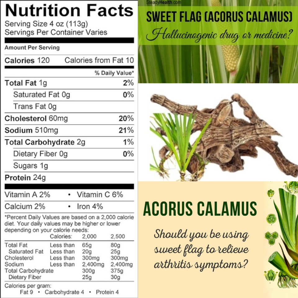 Acorus Calamus Root |Sweet Flag |Vacha Bach | Hierba Orgánica | Racine ...