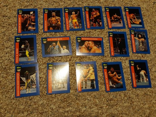 Classic WWF Trading Cards 1991 Lot Of 16 | eBay
