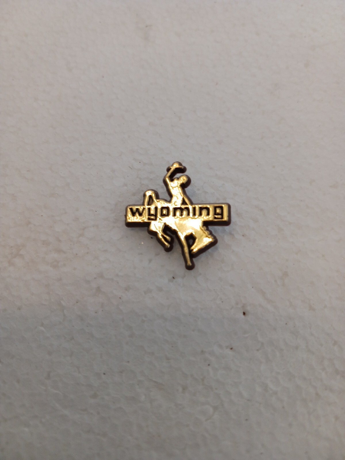 Wyoming Cowboy Gold Tone Vintage Lapel Pin | eBay