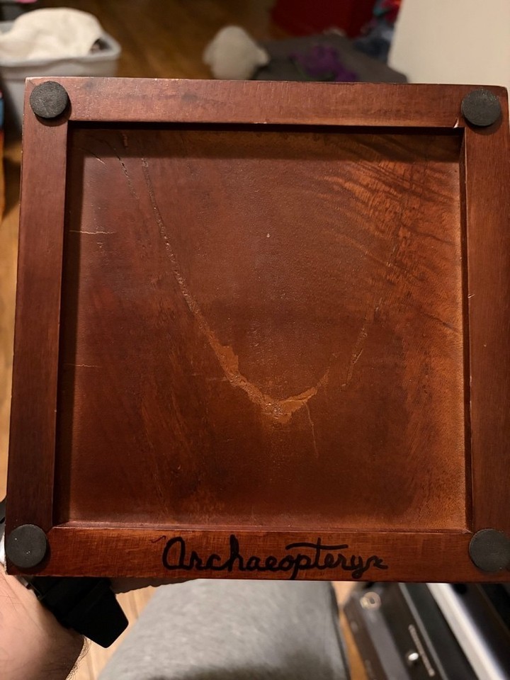 ARCHAEOPTERYX Fossil Replica – Berlin Specimen Cast – The Iconic ...